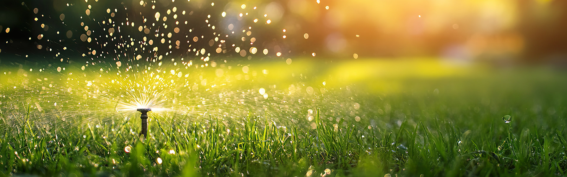 Sprinkler System Design - Octo Outdoors